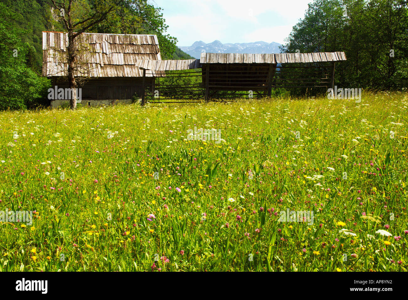 Wooded fodder rack hi-res stock photography and images - Alamy