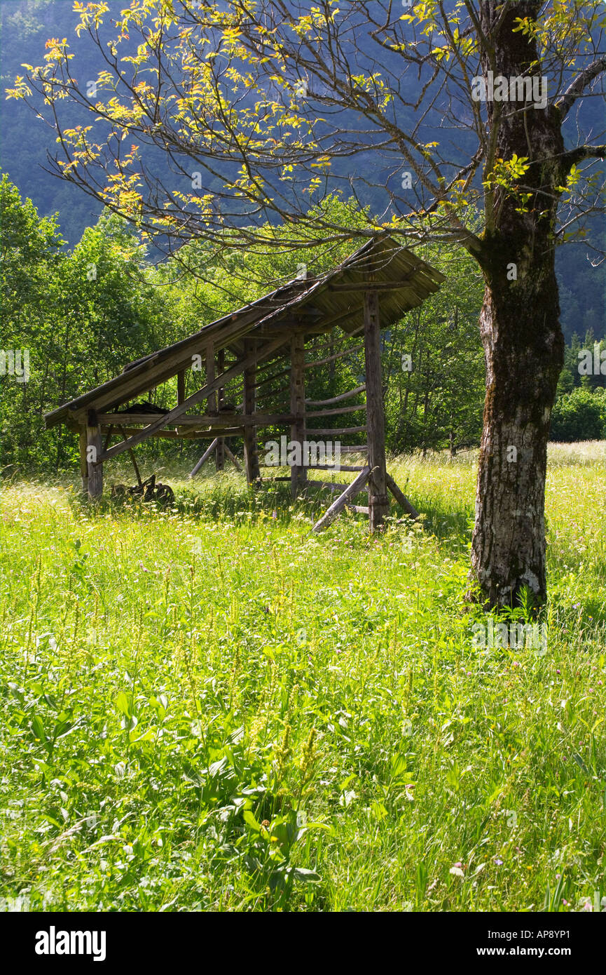 Traditional hay drying racks in meadows at Voje in the Julian Alps ...