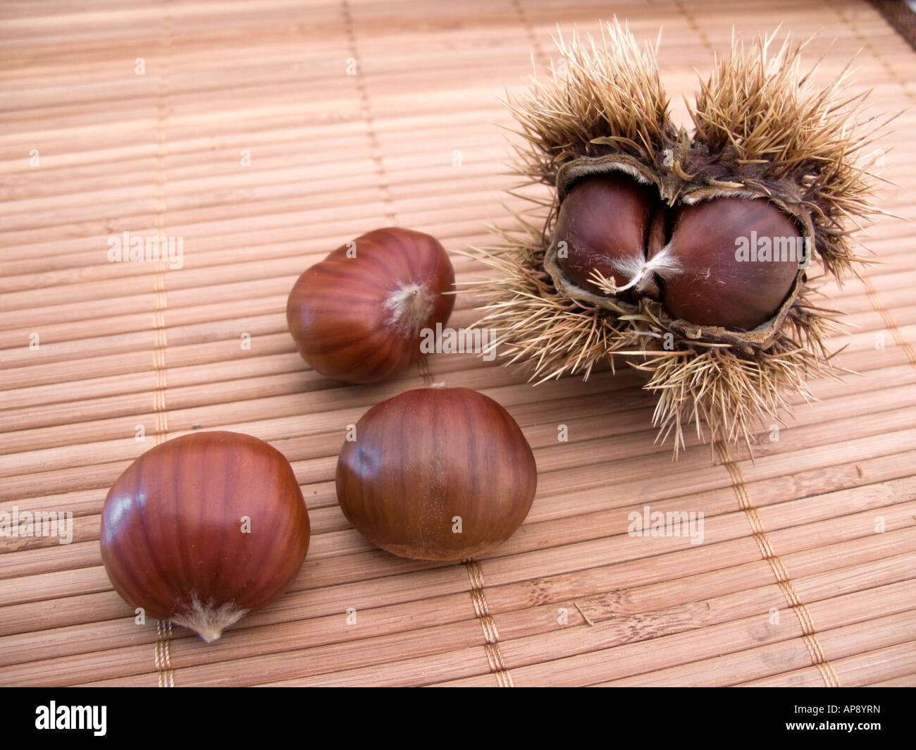 Nuts enclosed hi-res stock photography and images - Alamy