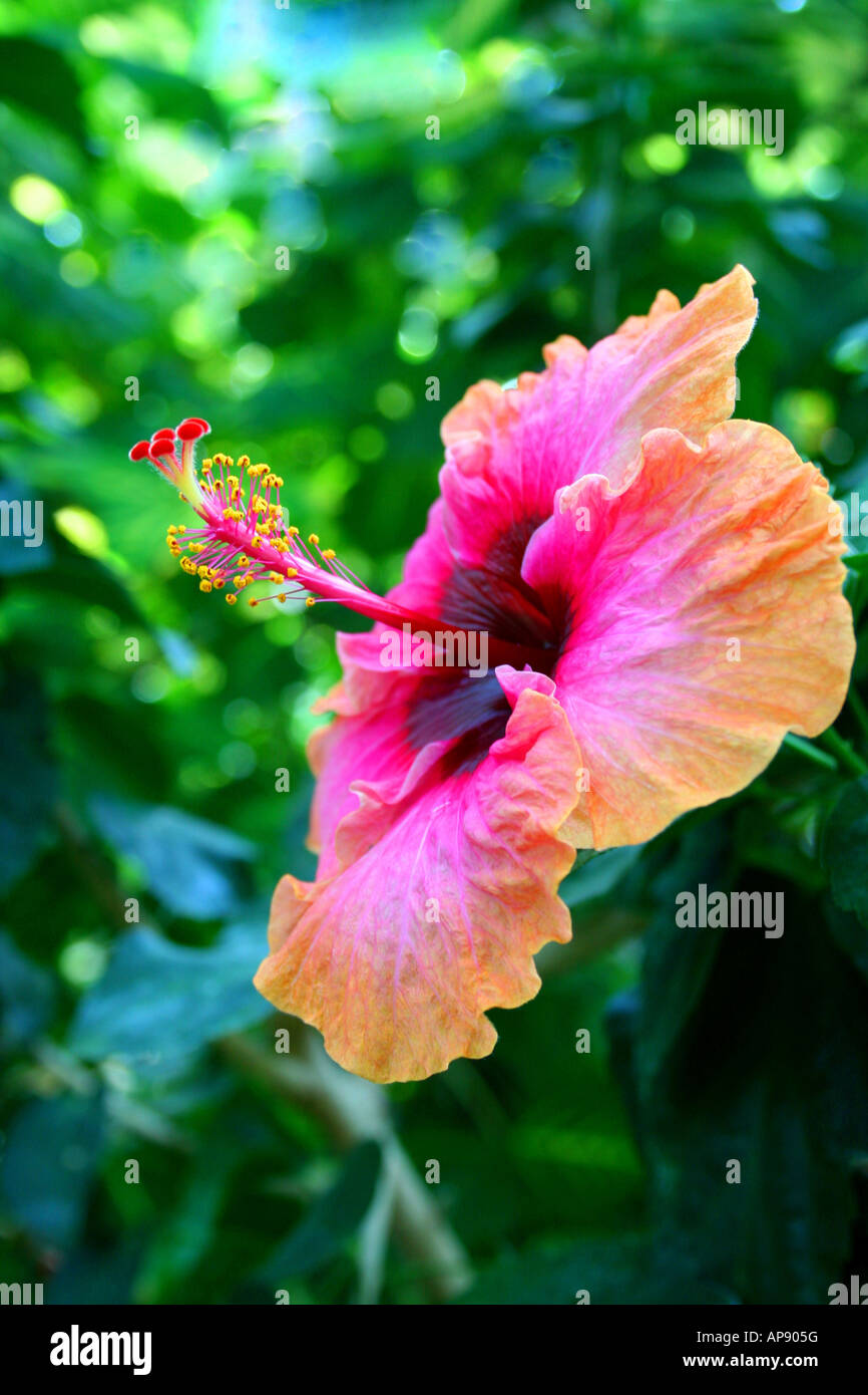 Mitchell Park Domes High Resolution Stock Photography and Images - Alamy