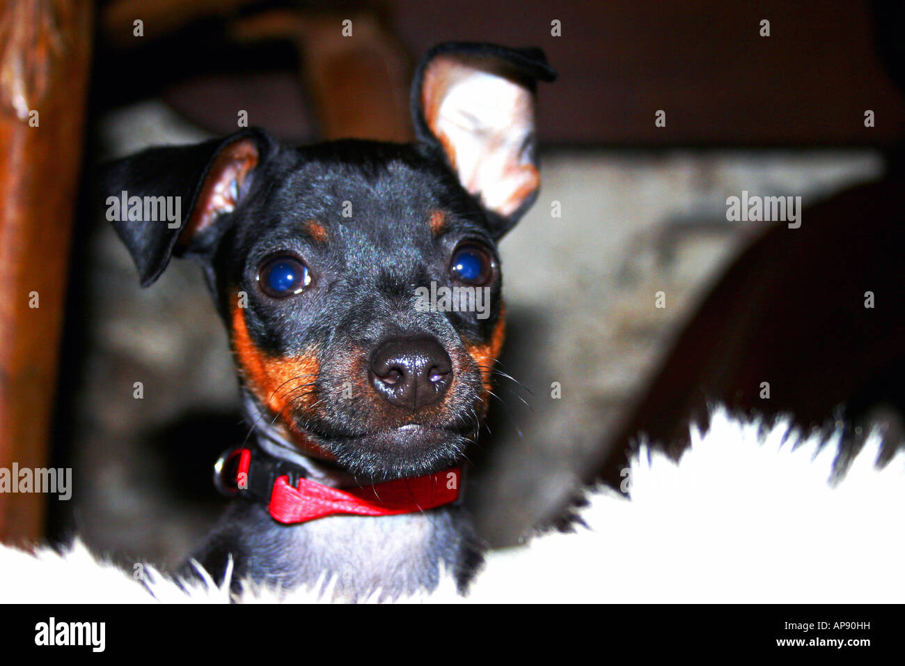 Specialy High Resolution Stock Photography and Images - Alamy