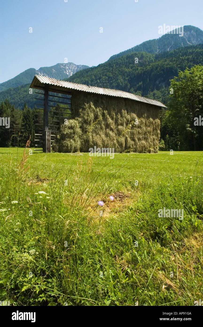Hay racks slovenia hi-res stock photography and images - Alamy