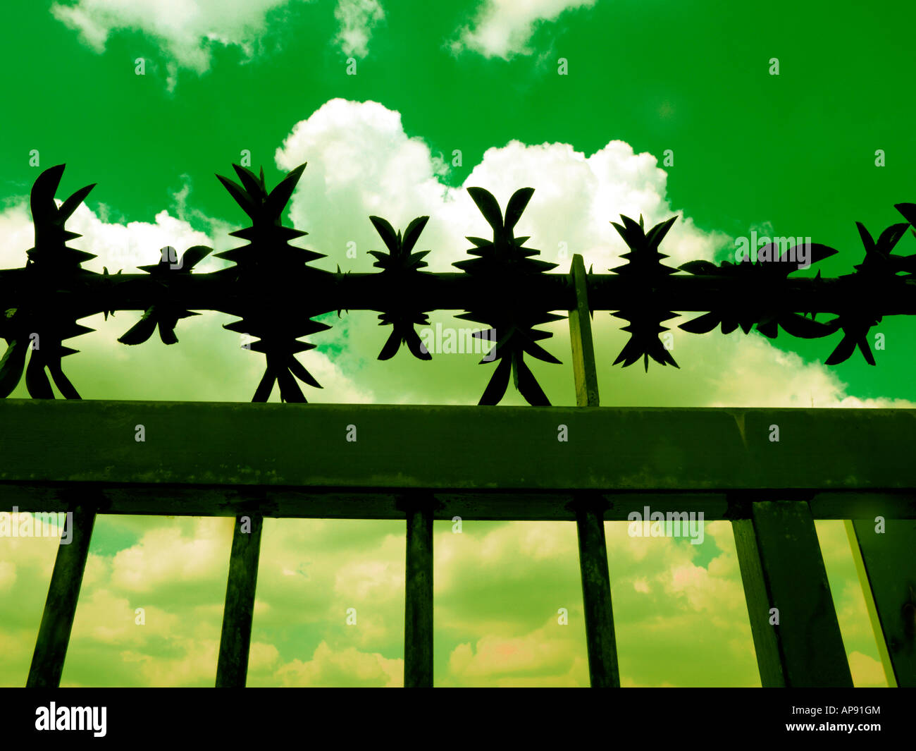 Barbed Wire on Security Gate Stock Photo - Alamy