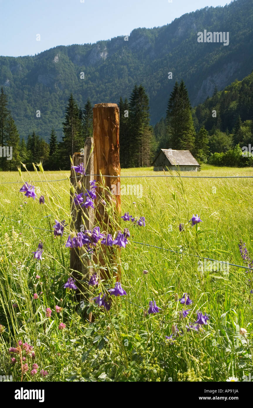 Radovna meadow barn hi-res stock photography and images - Alamy