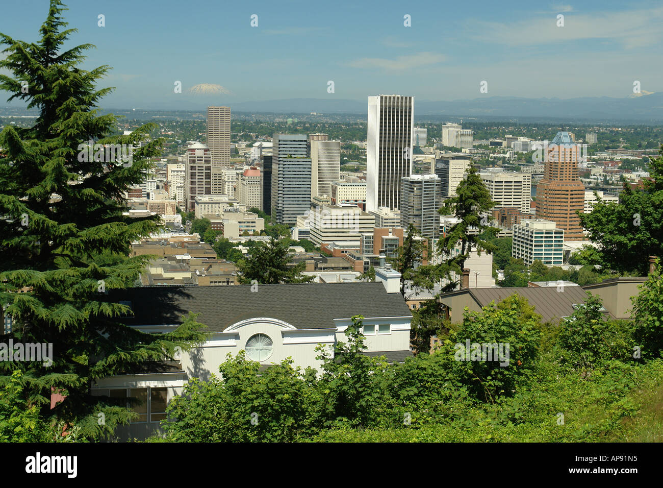 Portland skyline from park hi-res stock photography and images - Alamy