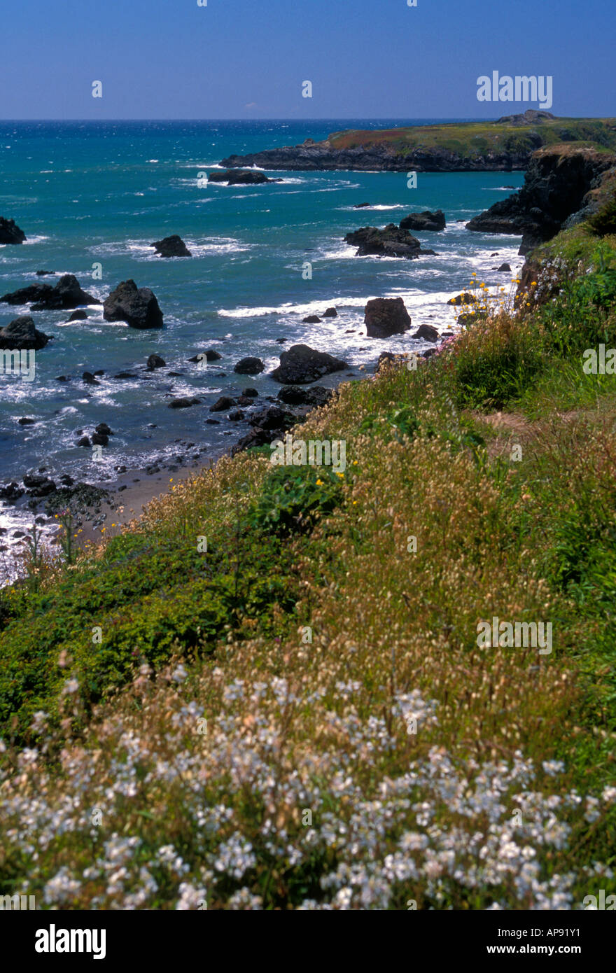 Gleason Beach, Pacific Ocean, Sonoma Coast State Park, near Carmet ...