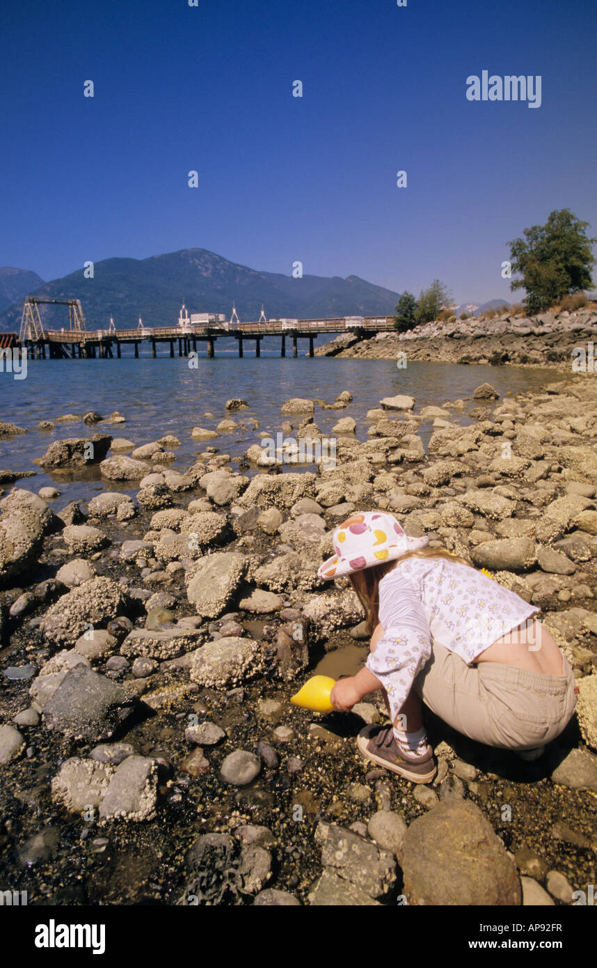 Young girl digging for crabs Porteau Cove Marine Park Howe Sound ...