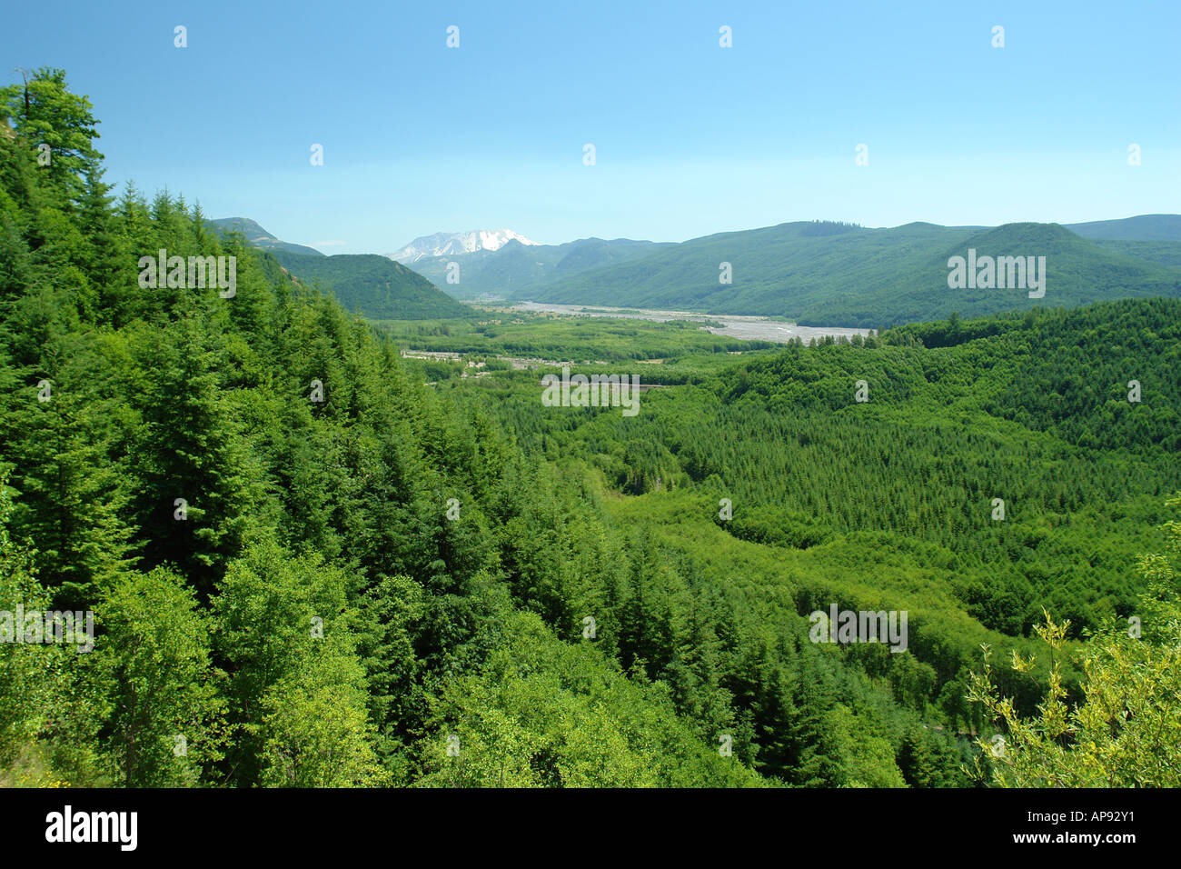 Toutle river hi-res stock photography and images - Alamy