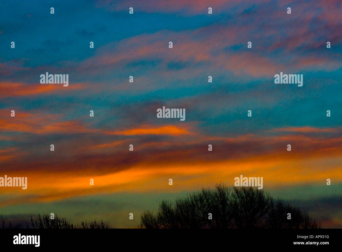 The colors of the early morning sky in Grosvenor Park. Notice the ...