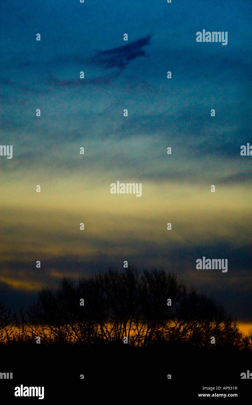 The colors of the early morning sky in Grosvenor Park. Notice the ...