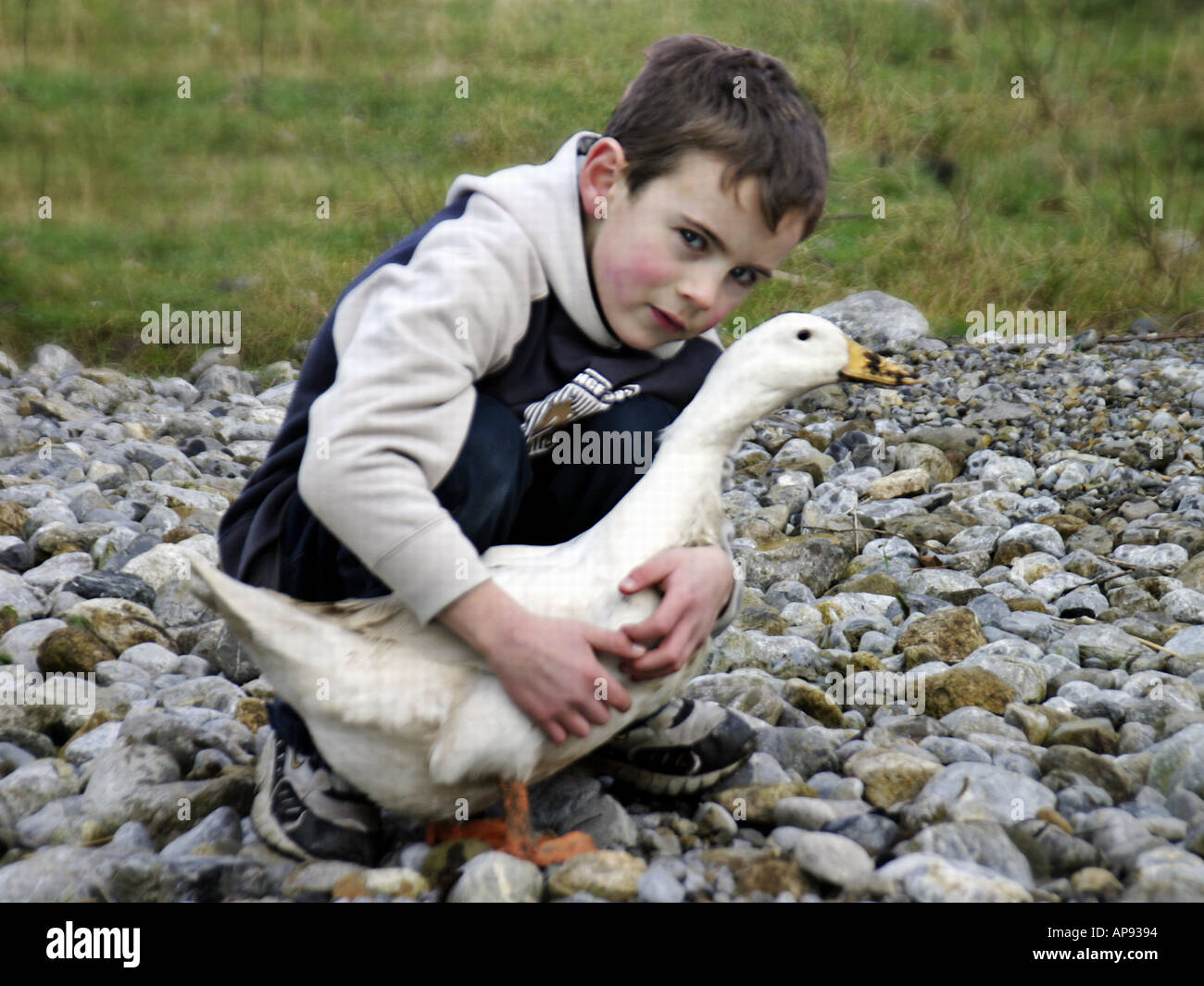 Pals for life hi-res stock photography and images - Alamy