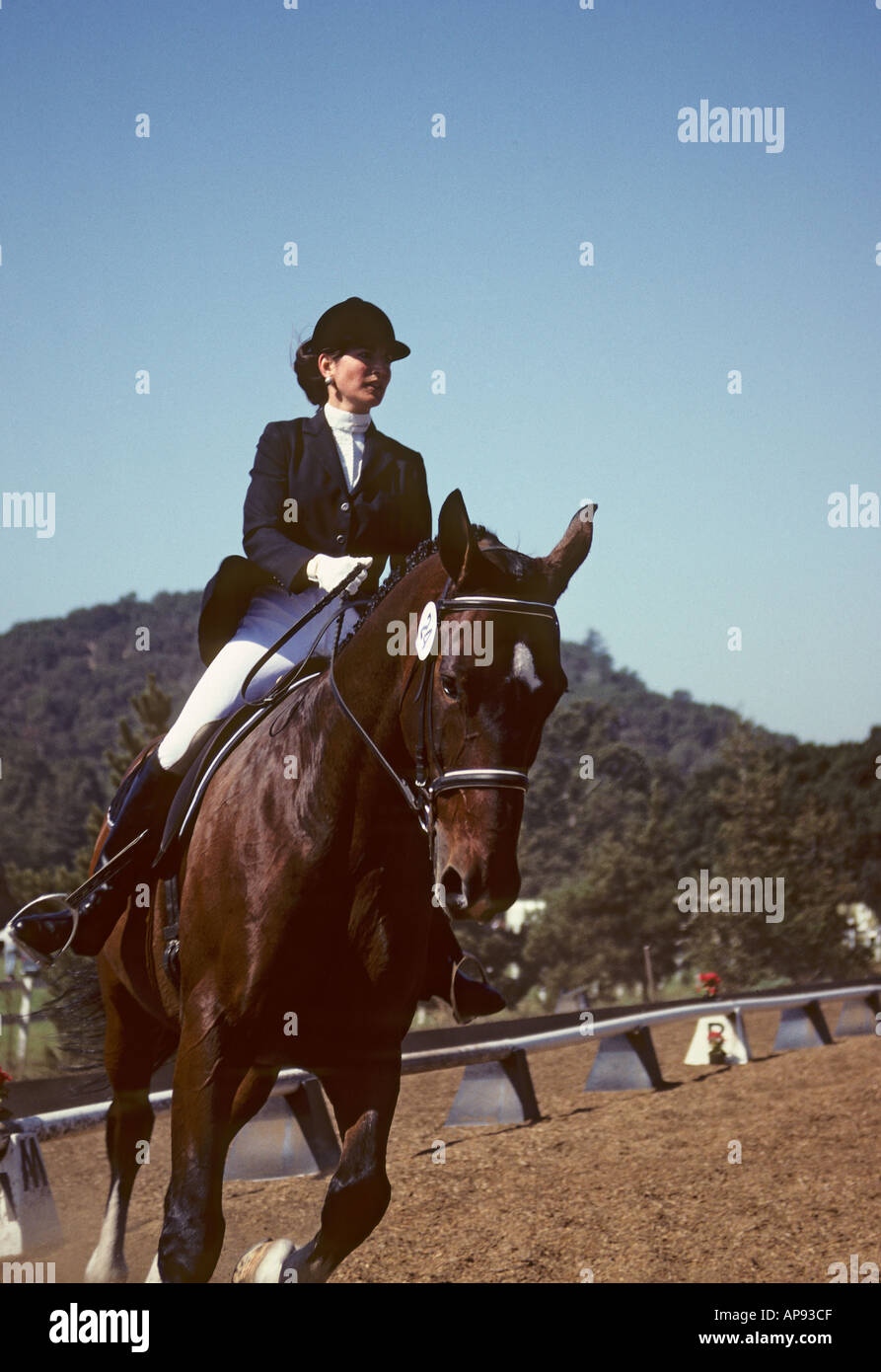 Dressage hi-res stock photography and images - Alamy