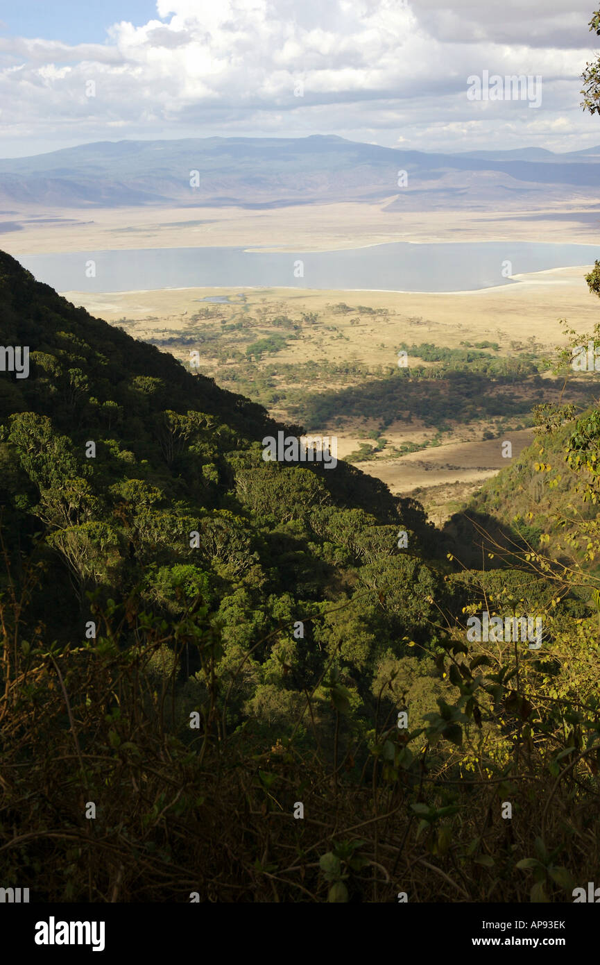 Ngorogoro conservation area hi-res stock photography and images - Alamy