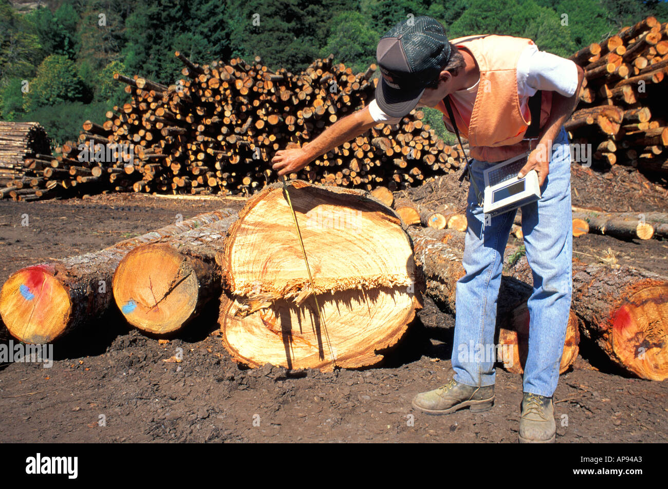 Log scaler hi-res stock photography and images - Alamy