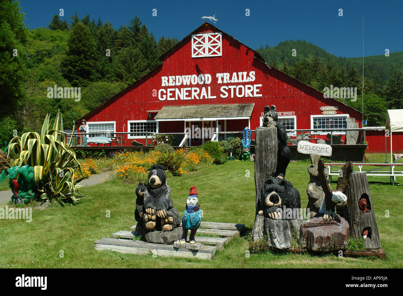 Redwoods california tourism travel west coast hi-res stock photography ...
