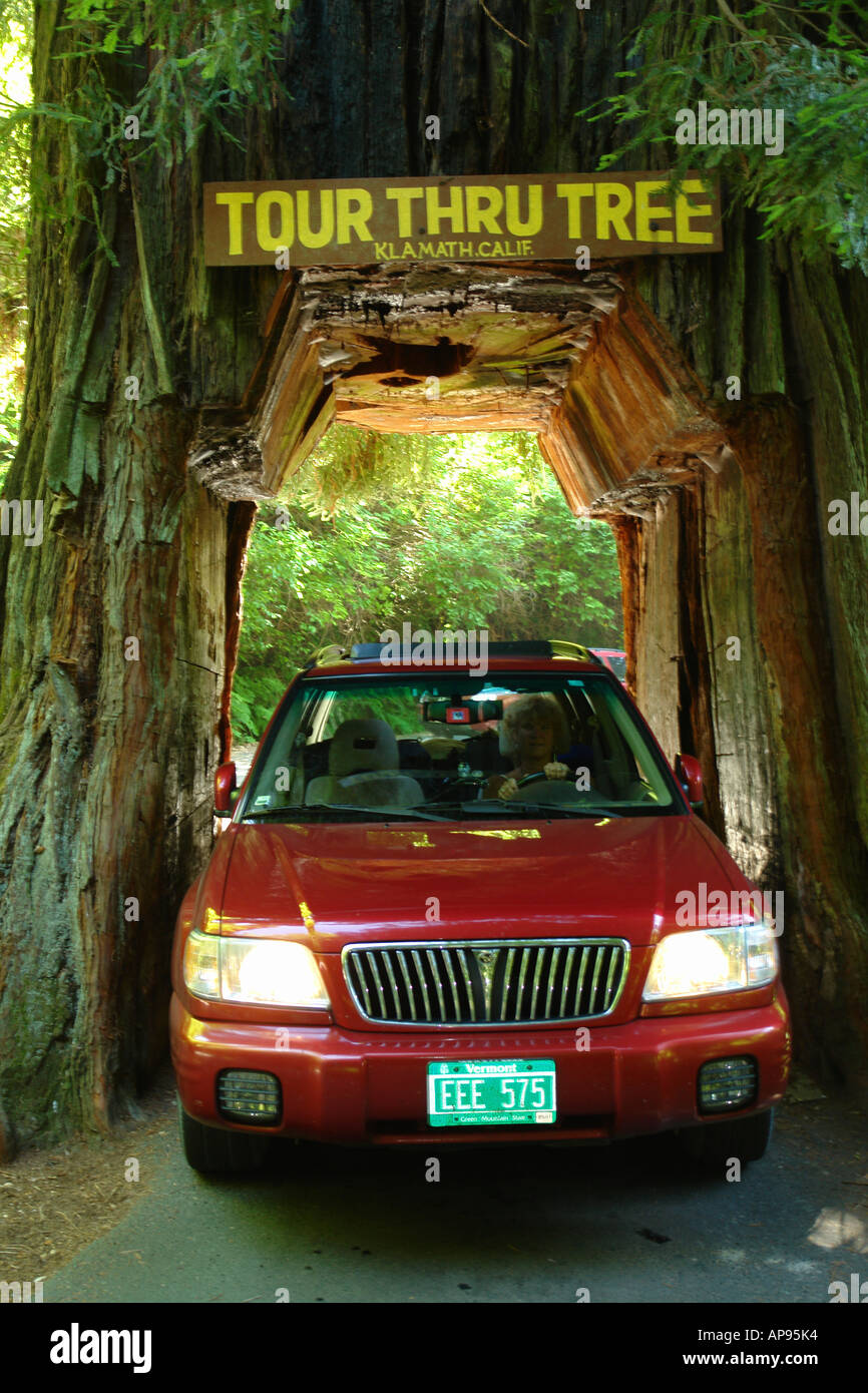 Big tree drive thru hi-res stock photography and images - Alamy