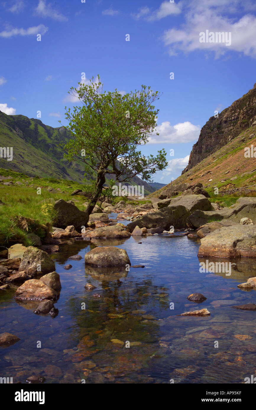Mountain Stream Snowdonia National Park North West Wales Stock Photo ...