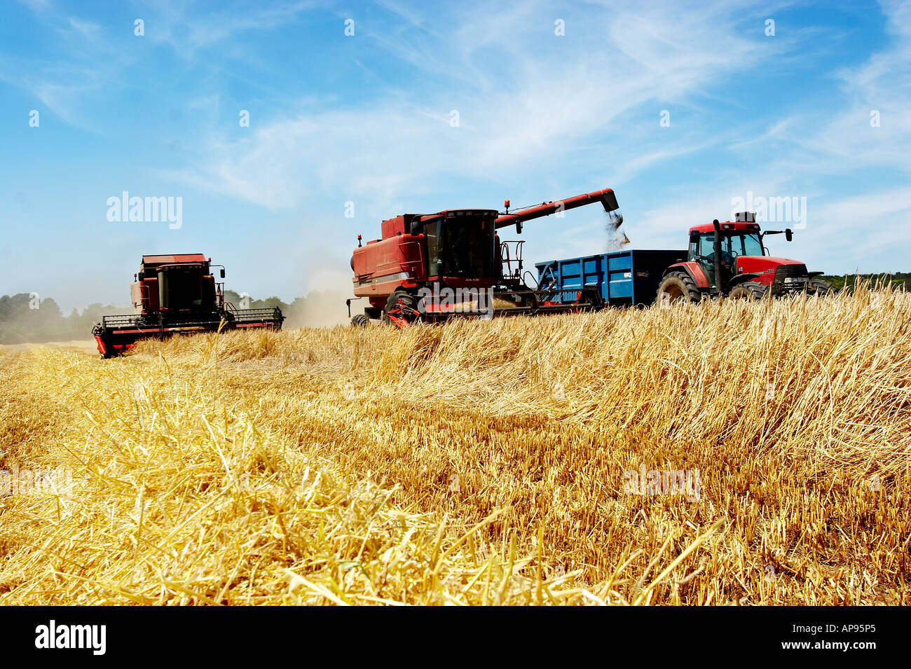 Harvest barley combine hants ropley stubble hi-res stock photography ...