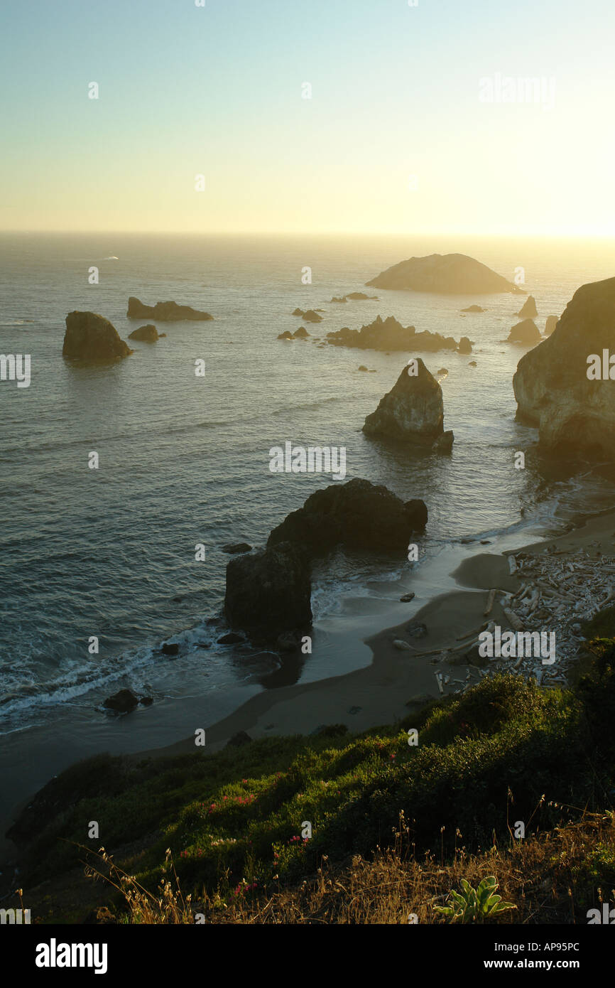 Jenny harris hi-res stock photography and images - Alamy