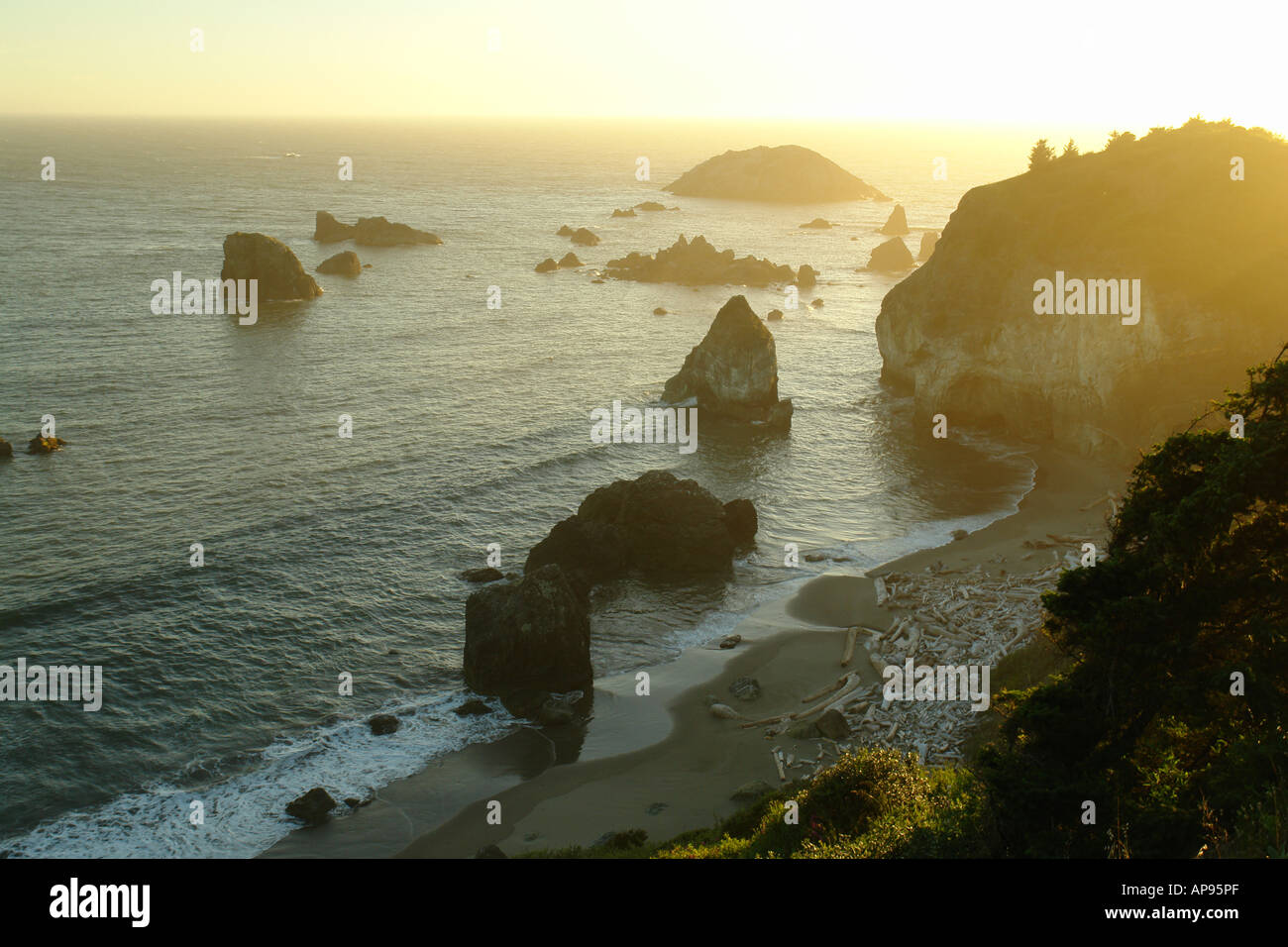 Jenny harris hi-res stock photography and images - Alamy