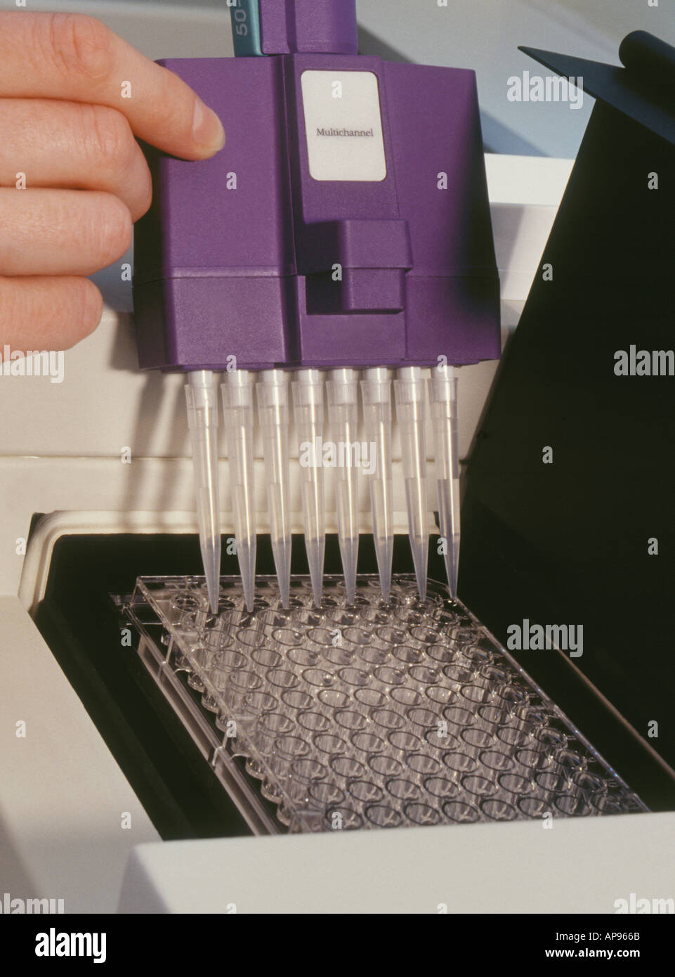 Multi sample testing in a biomedical laboratory Stock Photo - Alamy