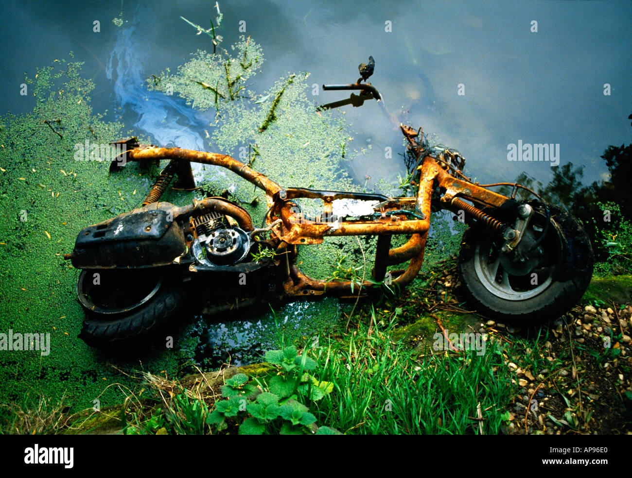 A bike slowly decaying in the water Stock Photo - Alamy