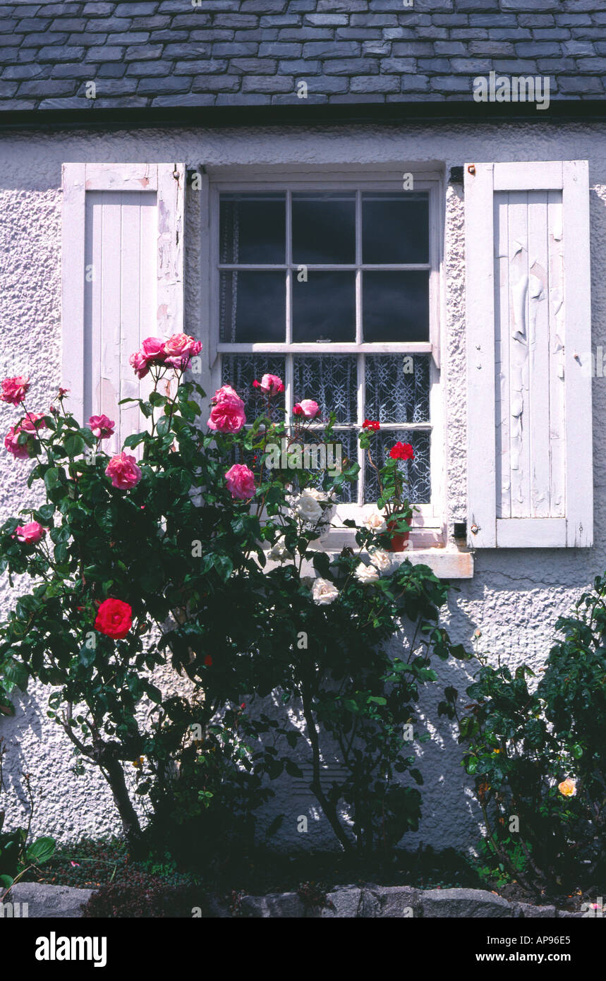 Spick and span hi-res stock photography and images - Alamy