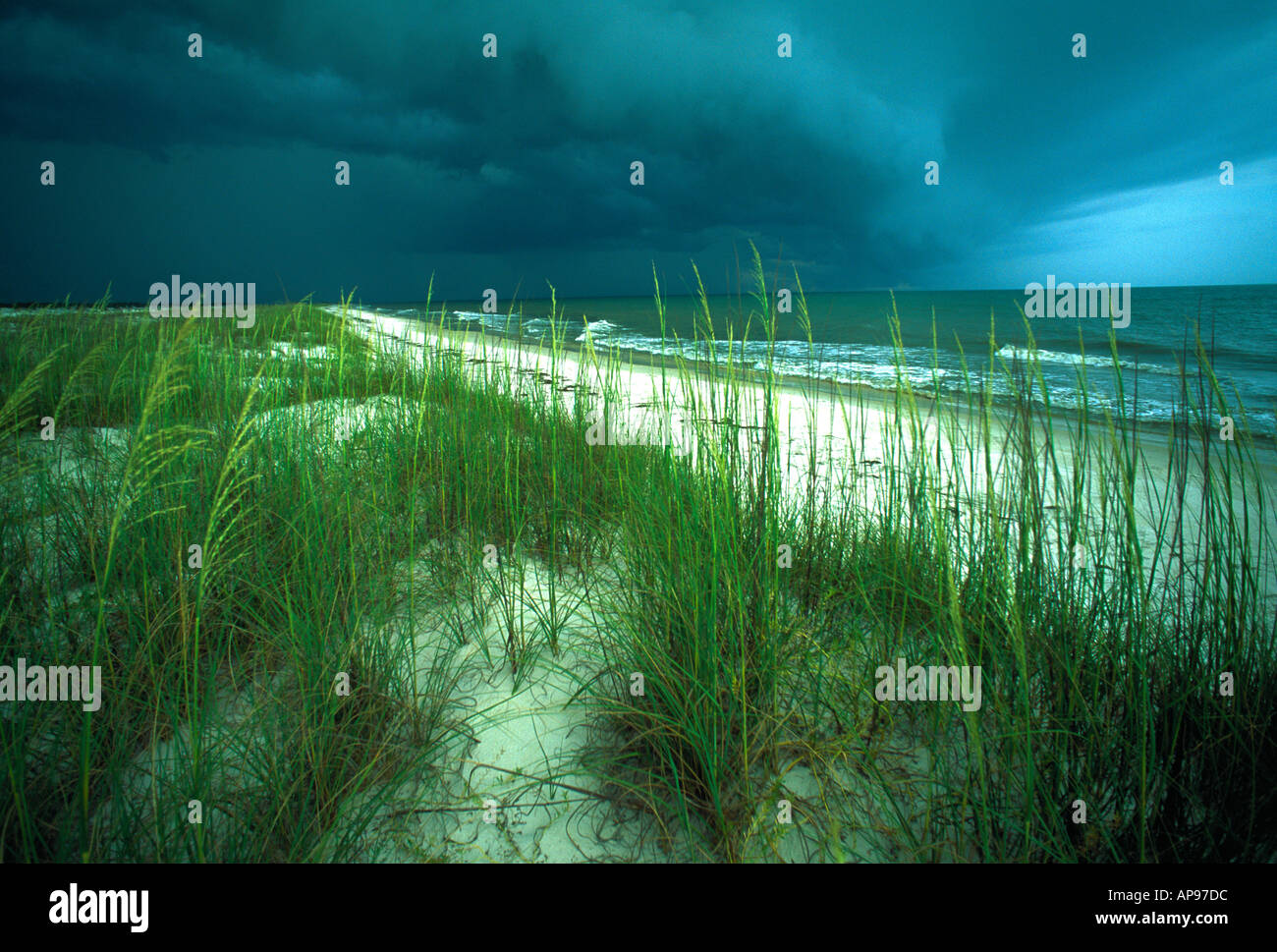 A beach moment Stock Photo - Alamy