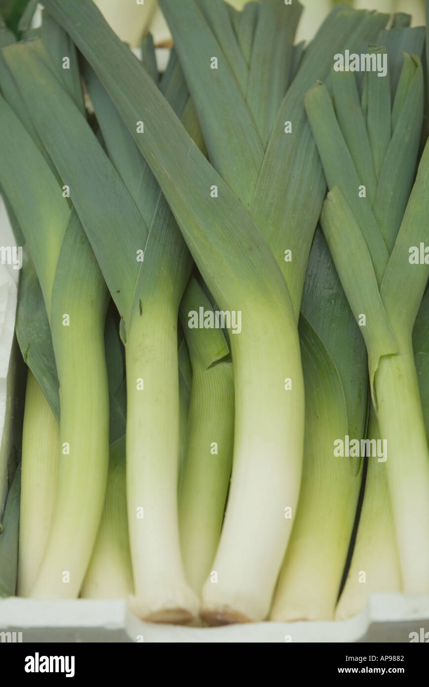 fresh leaks greens vegetable welsh national plant Stock Photo - Alamy