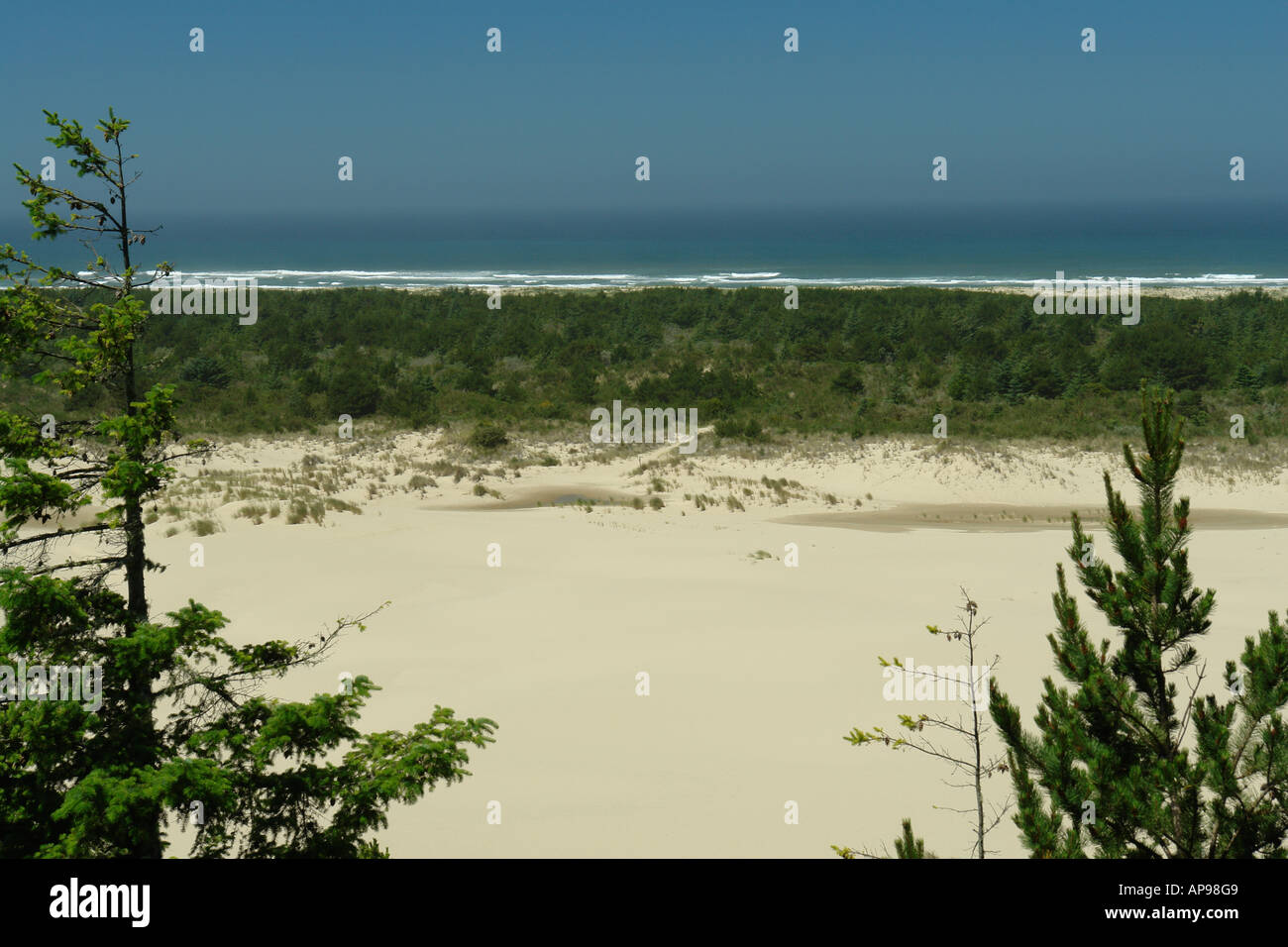 Oregon dunes overlook hi-res stock photography and images - Alamy