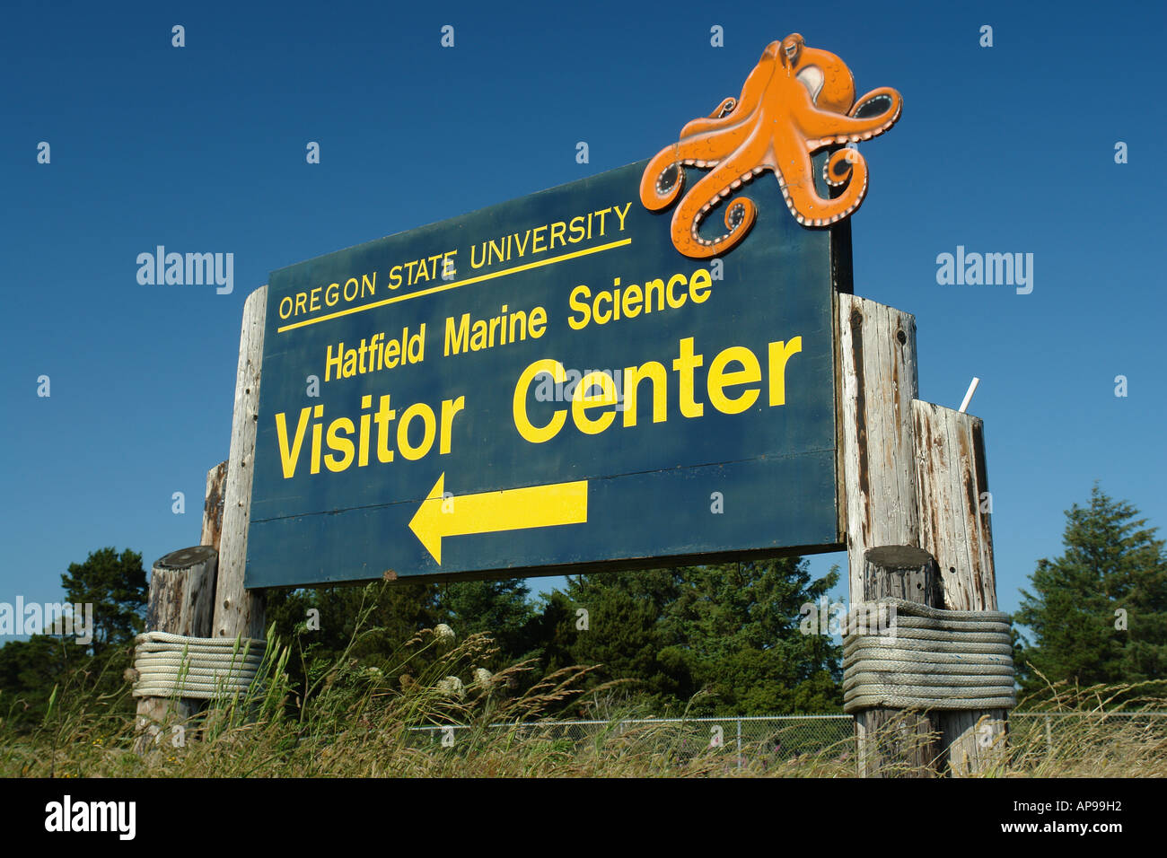 Seacoast science center hi-res stock photography and images - Alamy