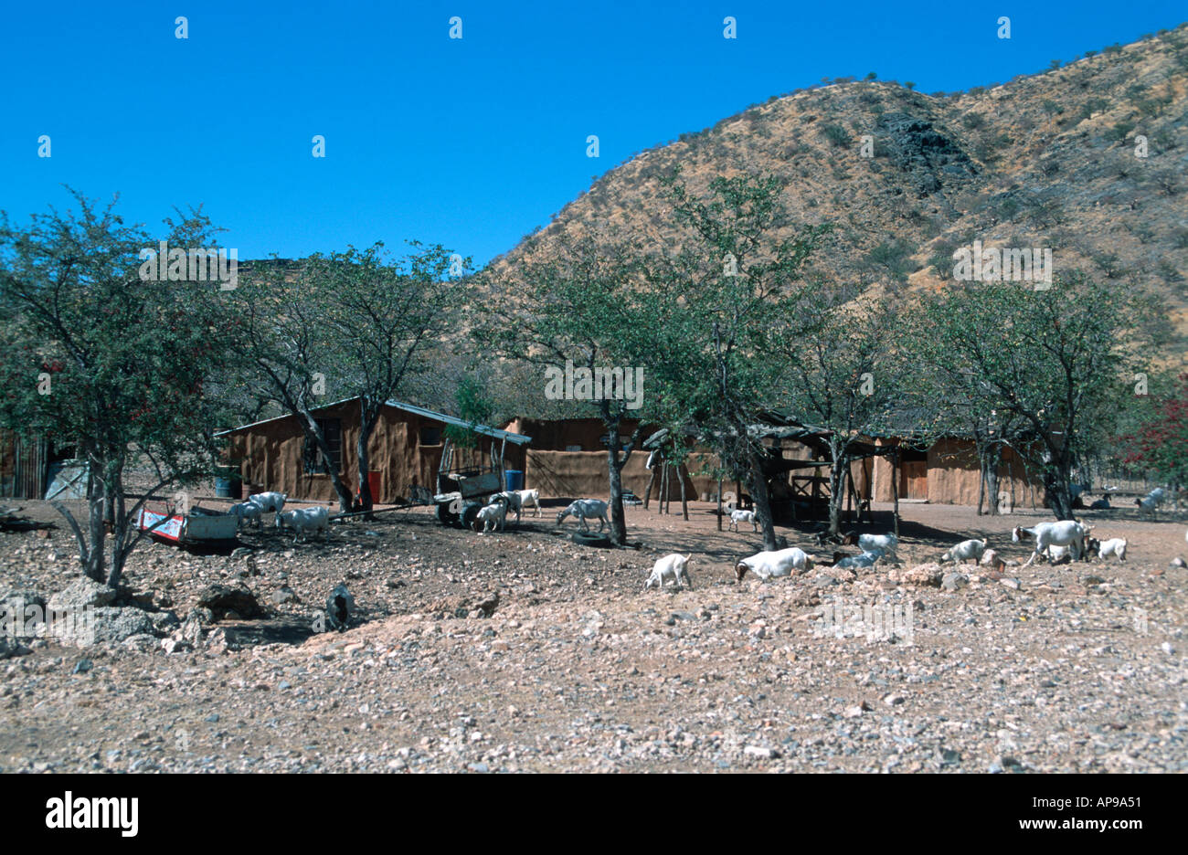 Farm Namibia 2000 Stock Photo - Alamy
