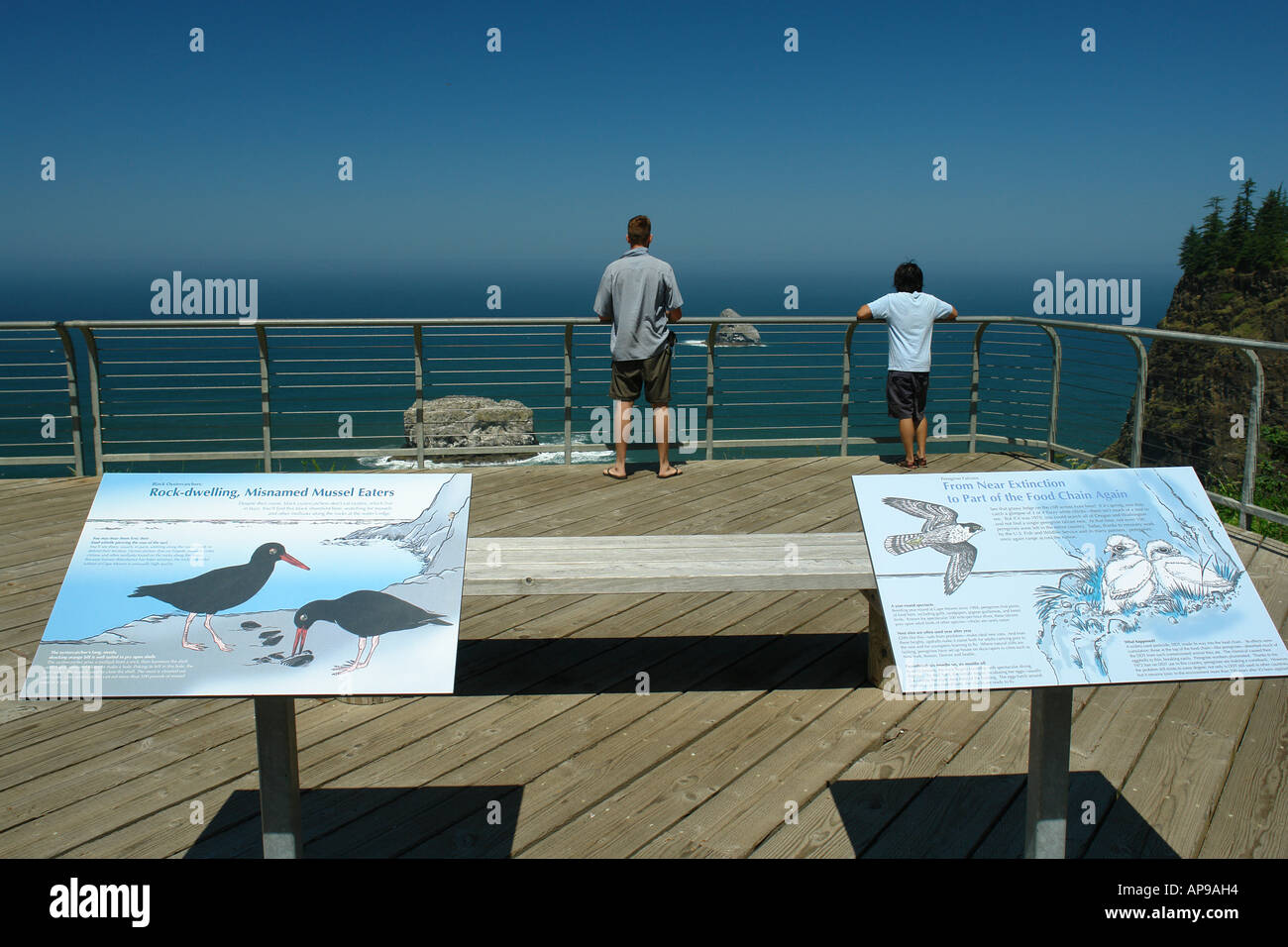 Three Capes Scenic Loop High Resolution Stock Photography and Images ...