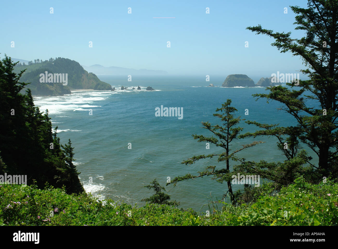 Three capes scenic route hi-res stock photography and images - Alamy