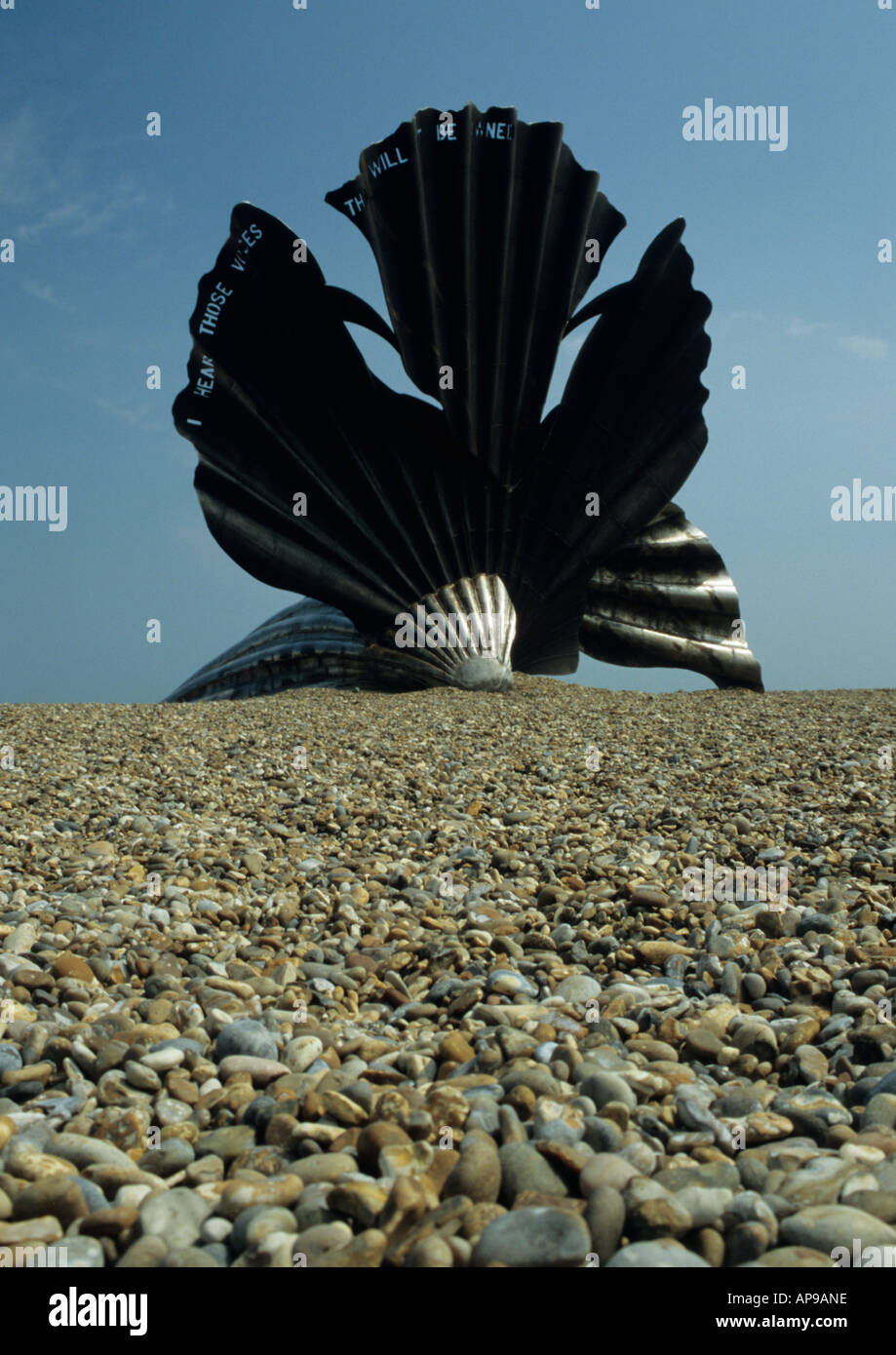 Upright shell hi-res stock photography and images - Alamy