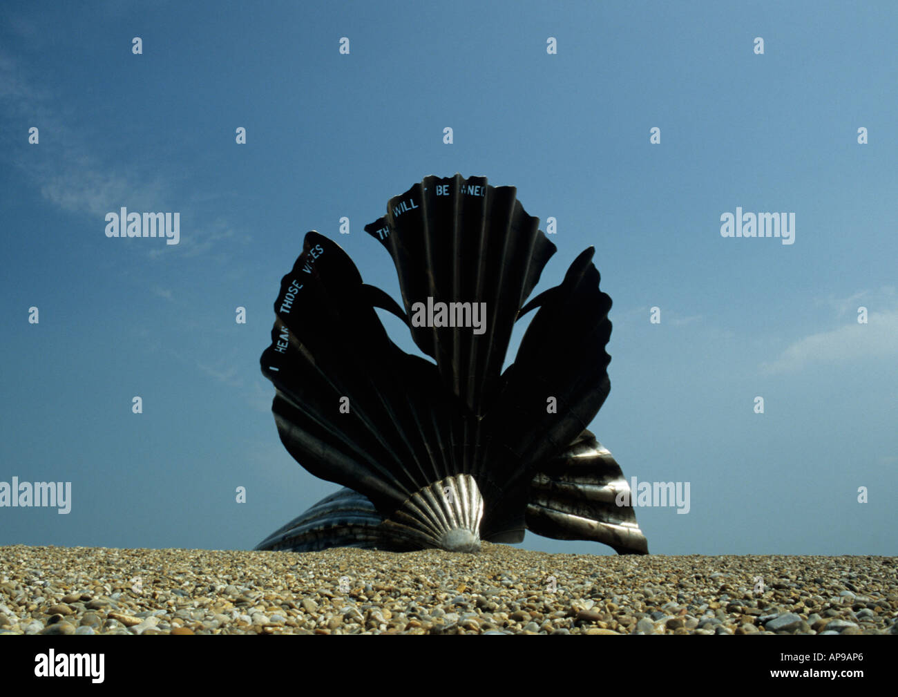 Shell At Aldeburgh Beach in Suffolk Uk Stock Photo - Alamy