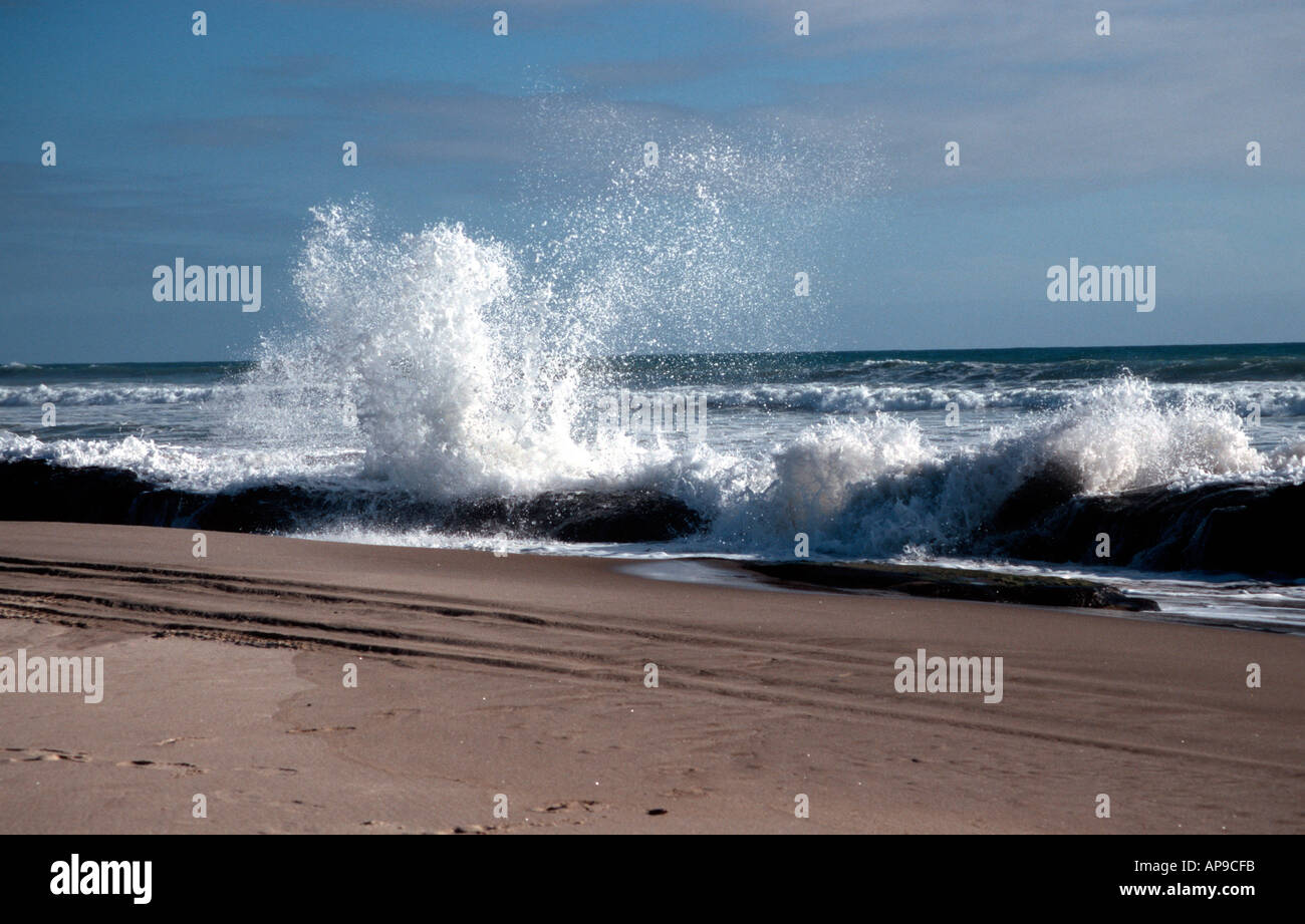 Splashing high waves at Opononi South Head Beach North Island New ...
