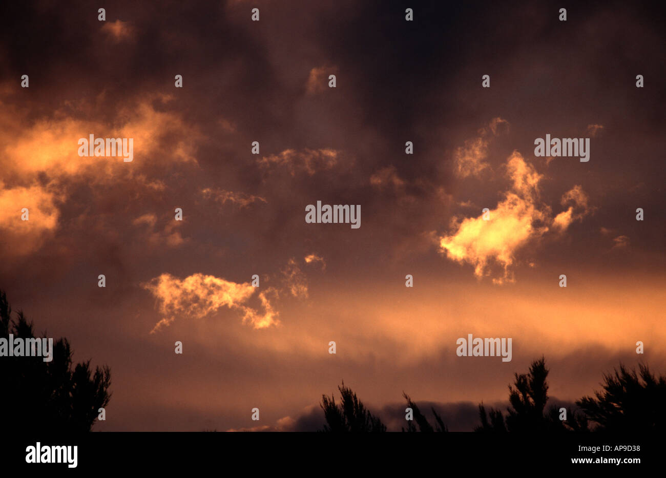 Sunset Nelson Lakes National Park South Island New Zealand Stock Photo ...
