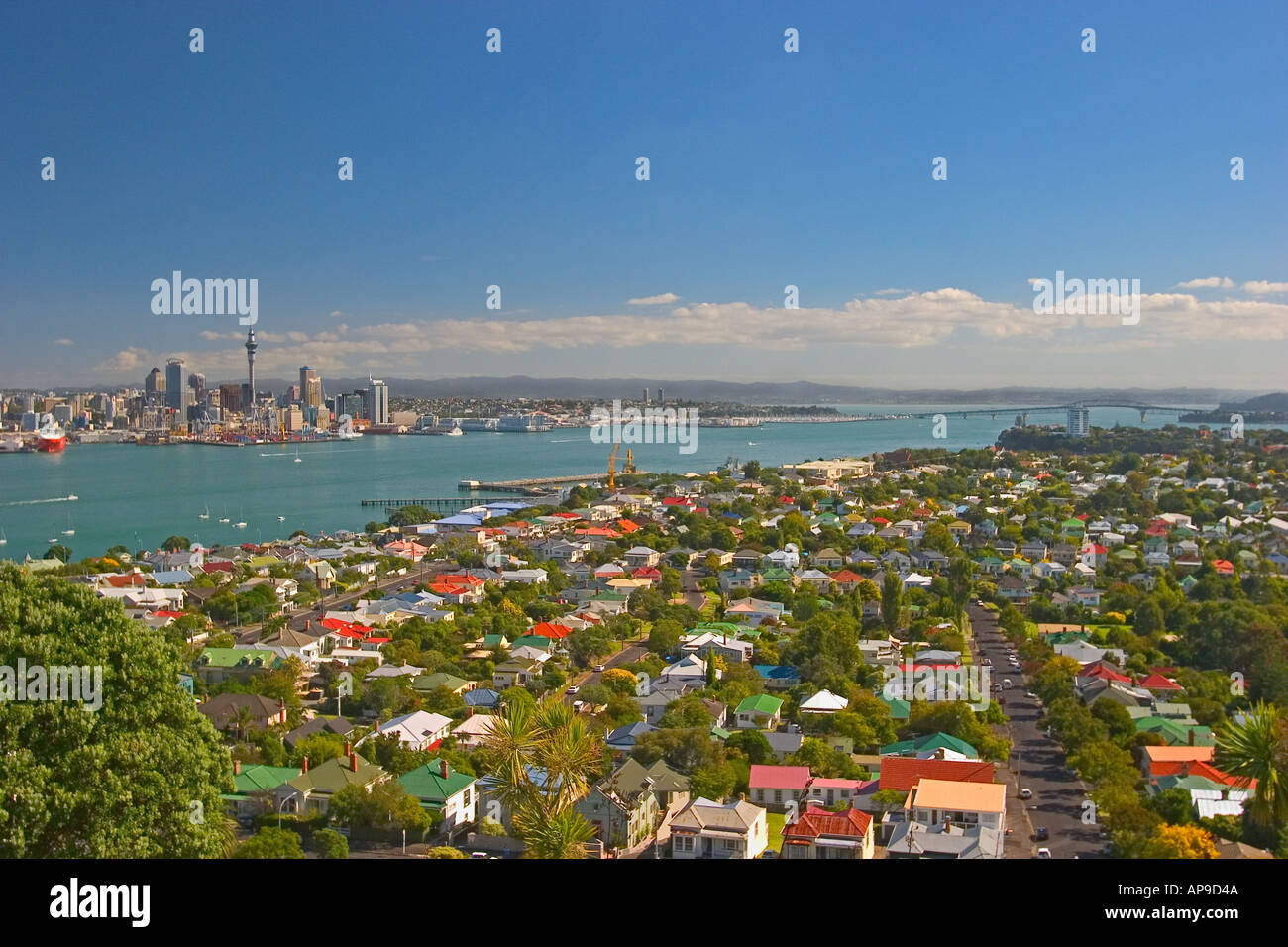 Auckland Harbour Bridge Devonport New Zealand Stock Photo - Alamy
