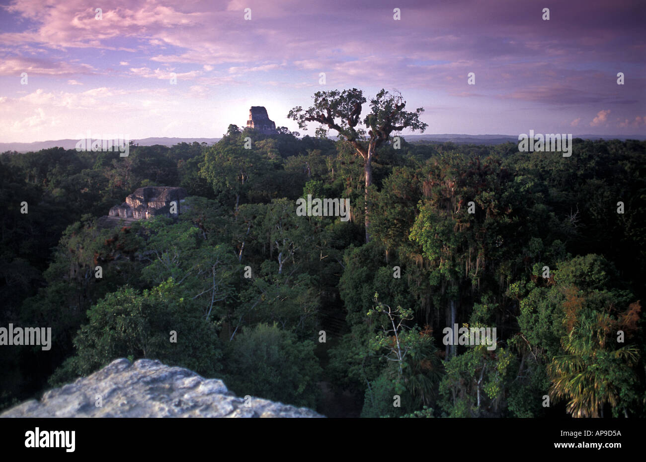 Mundo perdido tikal hi-res stock photography and images - Alamy