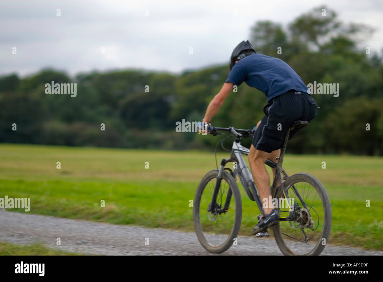 Cyclist riding on a cycle path though parkland Stock Photo - Alamy