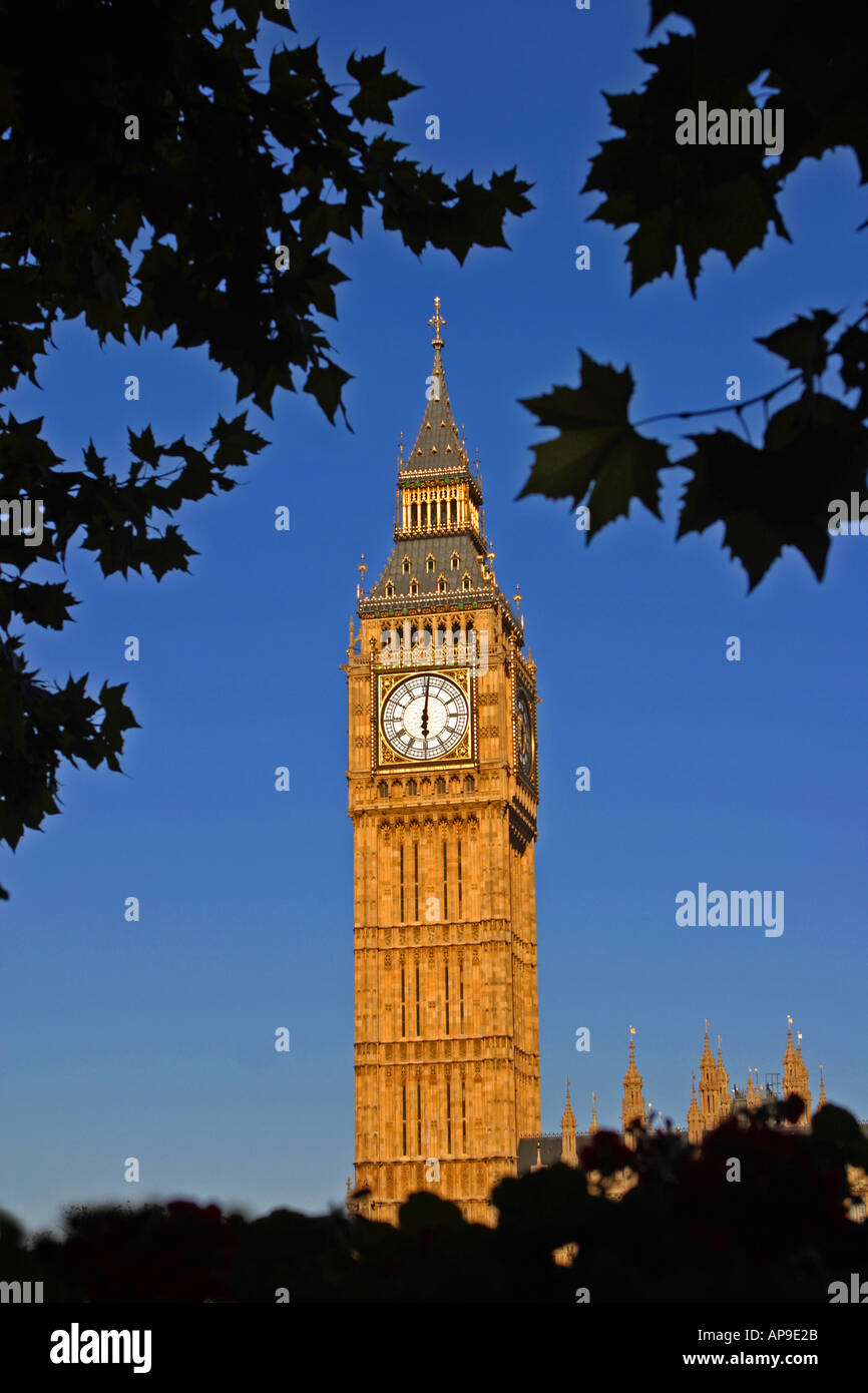 The Clock Tower Palace of Westminster Houses of Parliament London ...