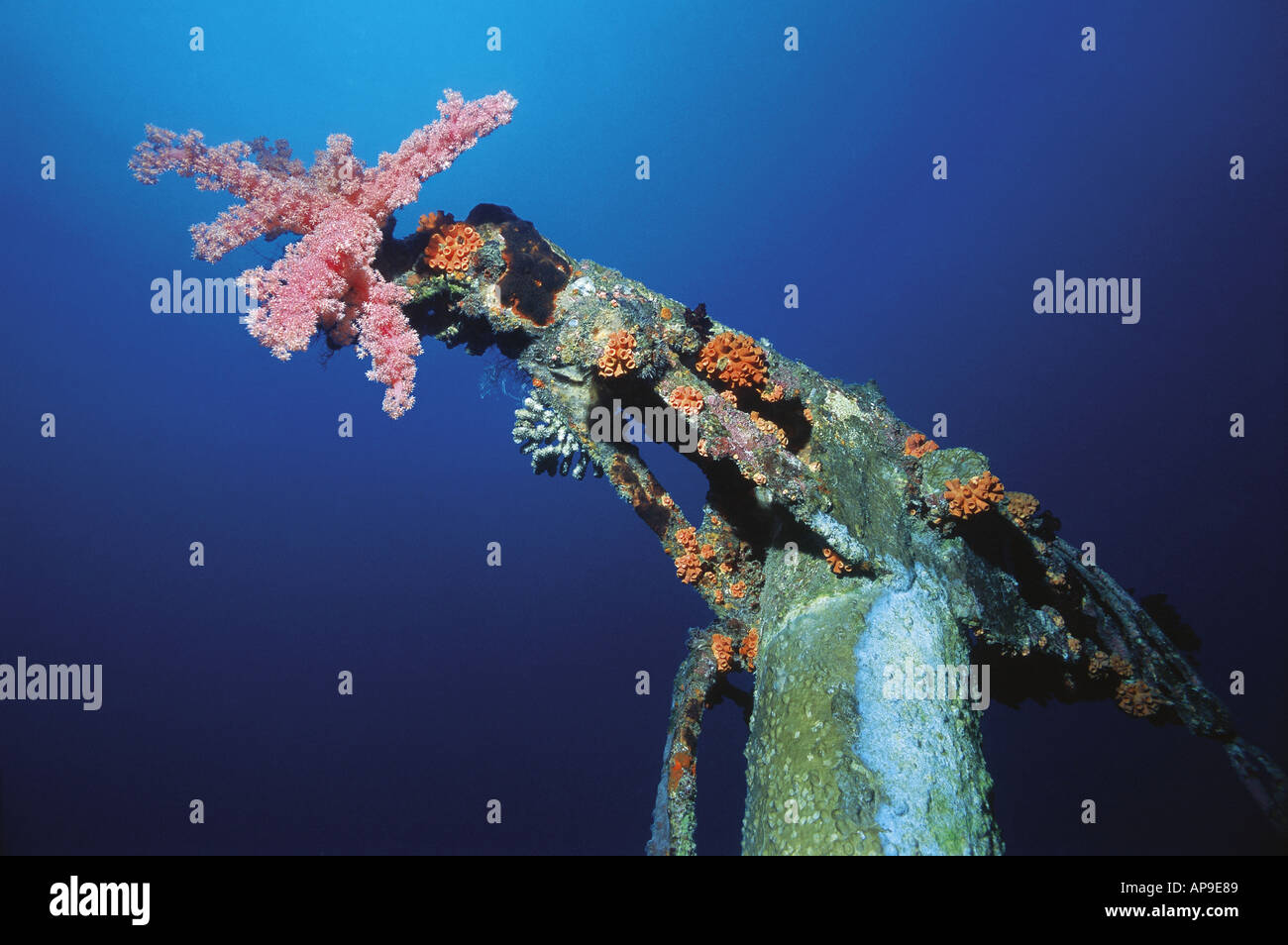 Shipwreck mast hi-res stock photography and images - Alamy
