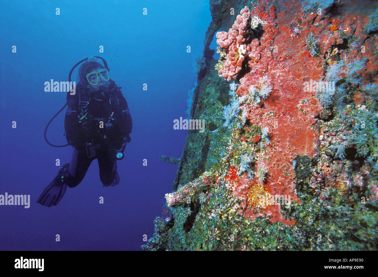 scuba diver swimming near the broadside of the Stella Maru wreck Stock ...