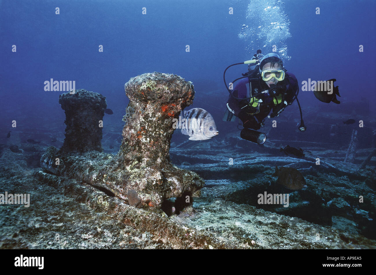 scuba diver swimming on a shipwreck Stock Photo - Alamy