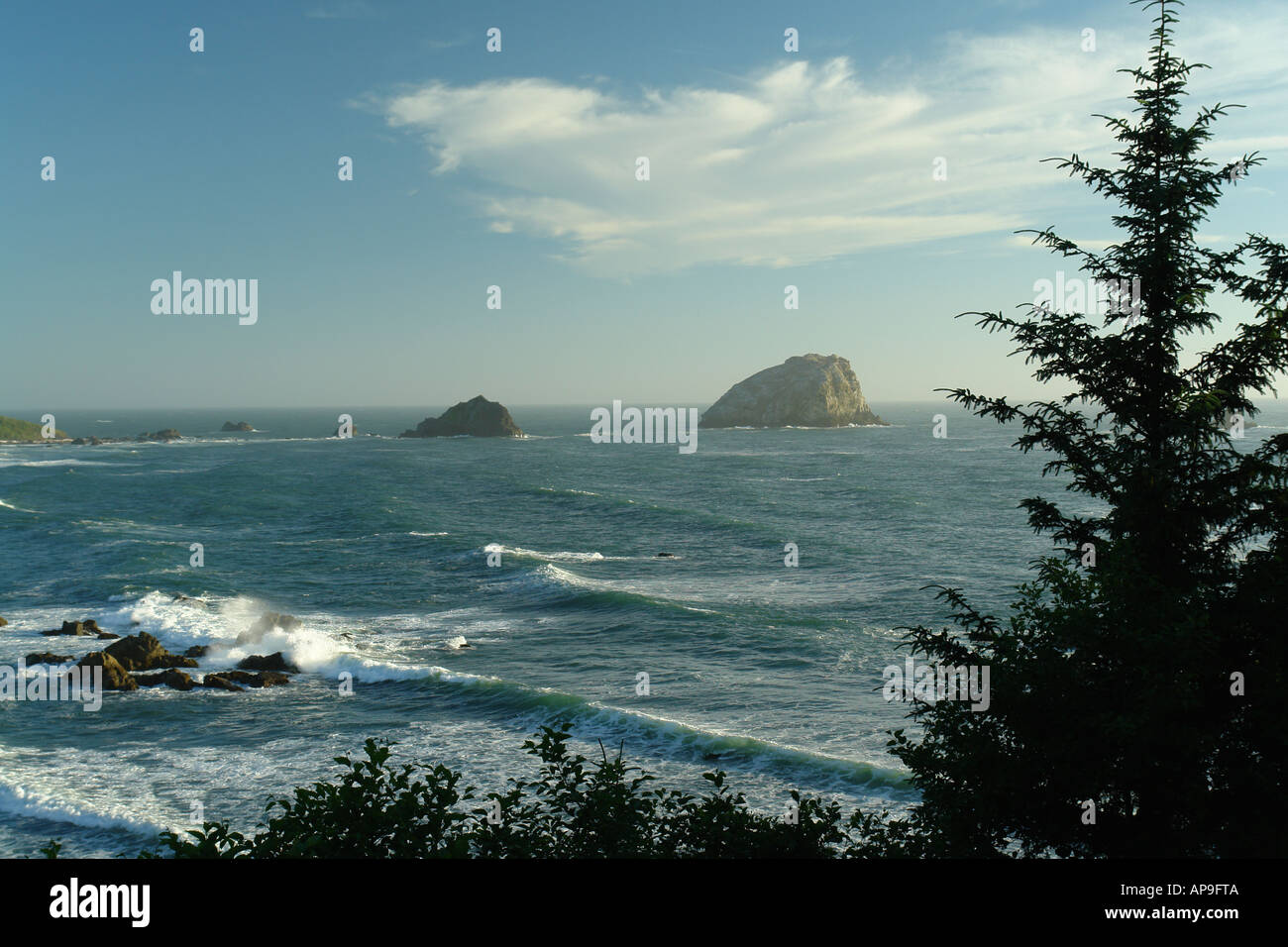 Redwood national and state park hi-res stock photography and images - Alamy