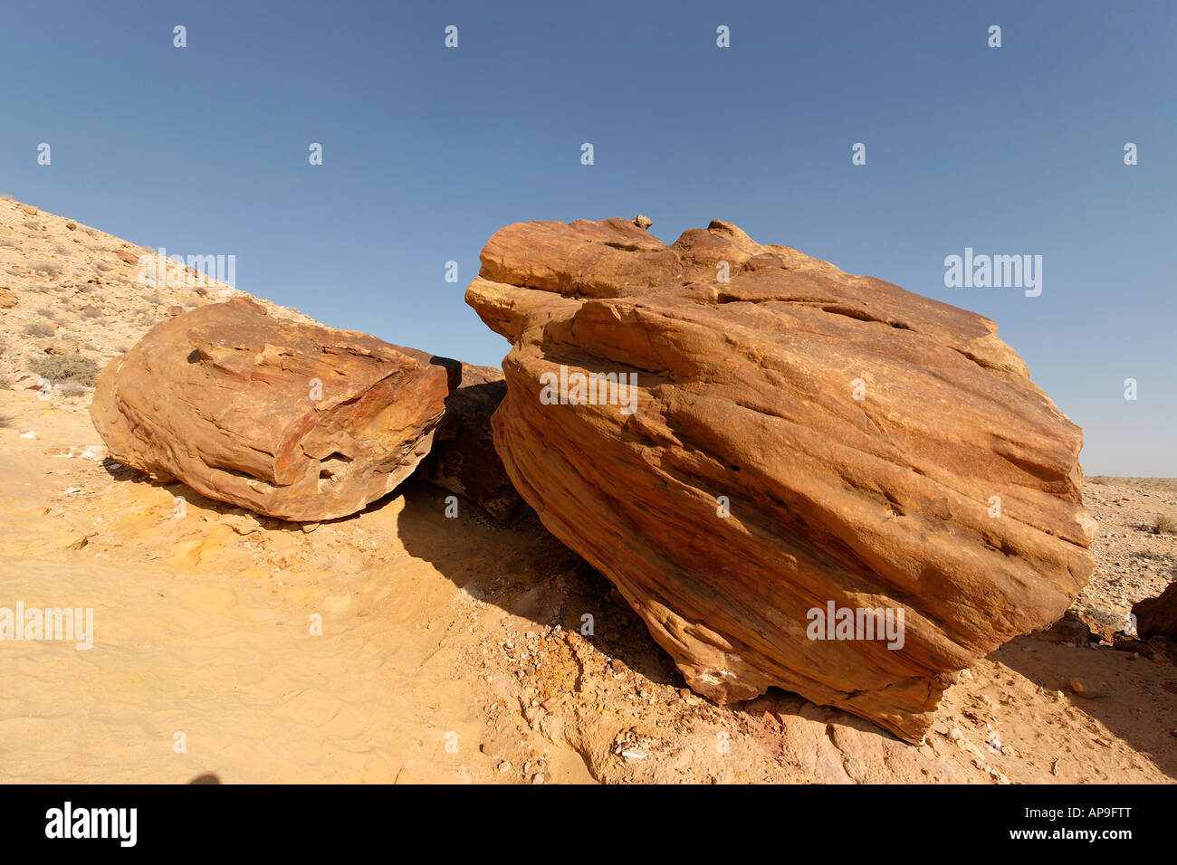 Israel the Negev desert Petrified trees in the Large Crater Stock Photo ...