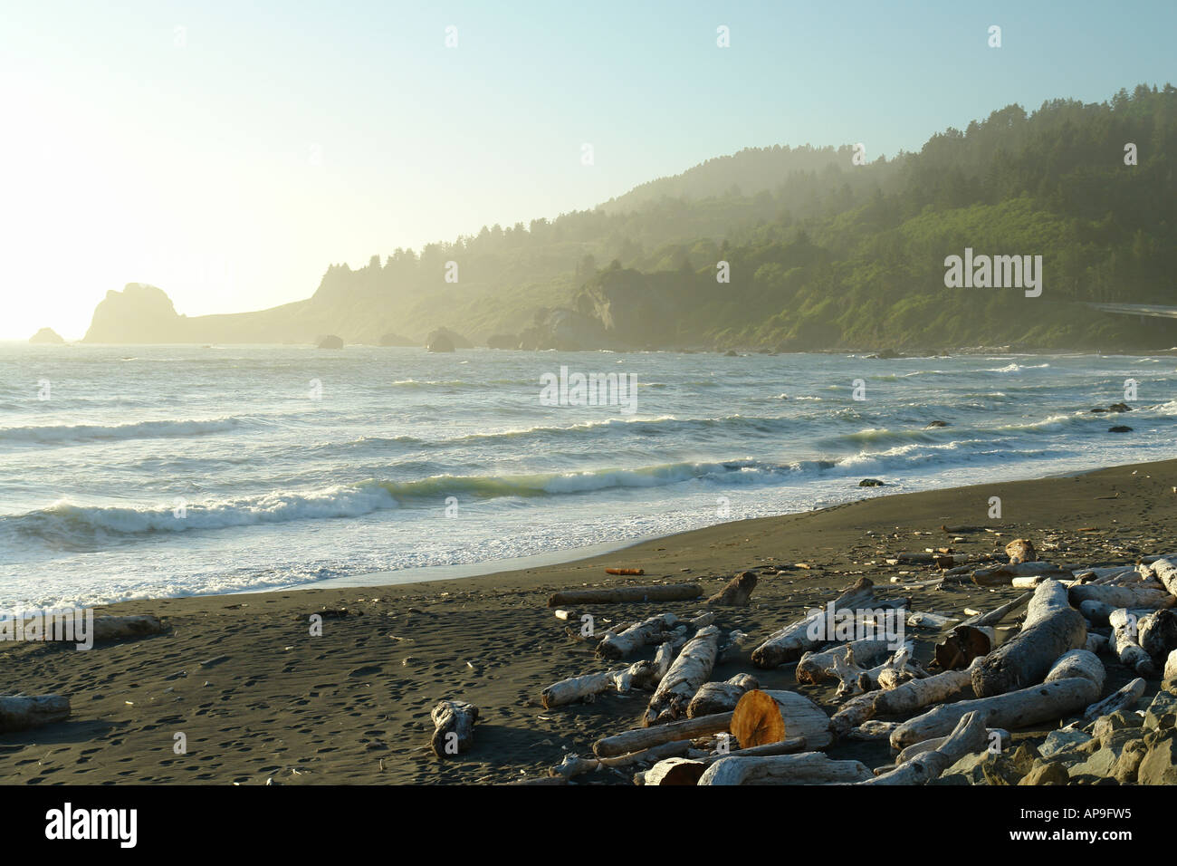 Redwood national and state park hi-res stock photography and images - Alamy