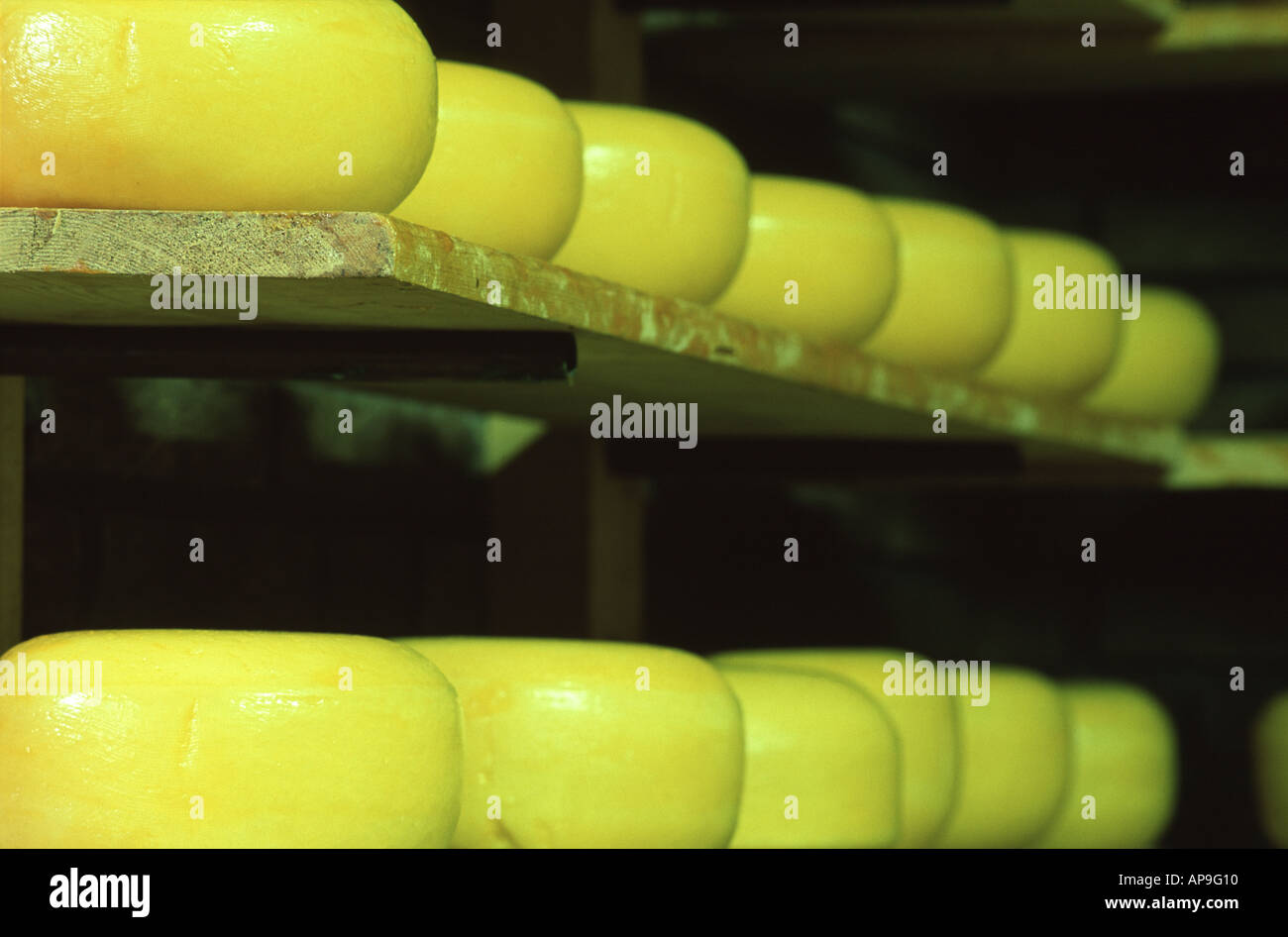 Cheese factory Volendam Holland Stock Photo - Alamy