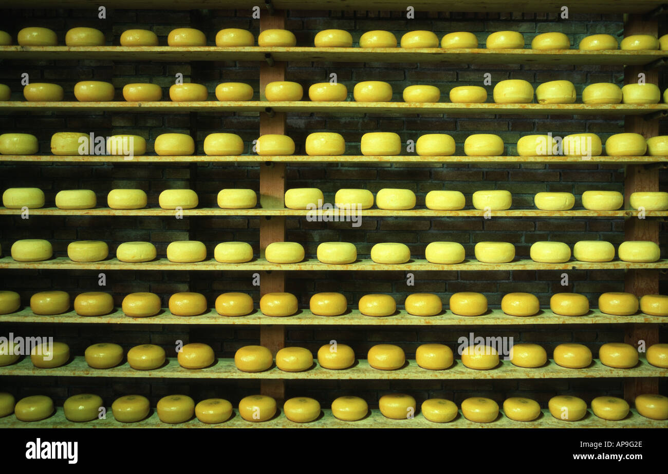 Cheese factory Volendam Holland Stock Photo - Alamy